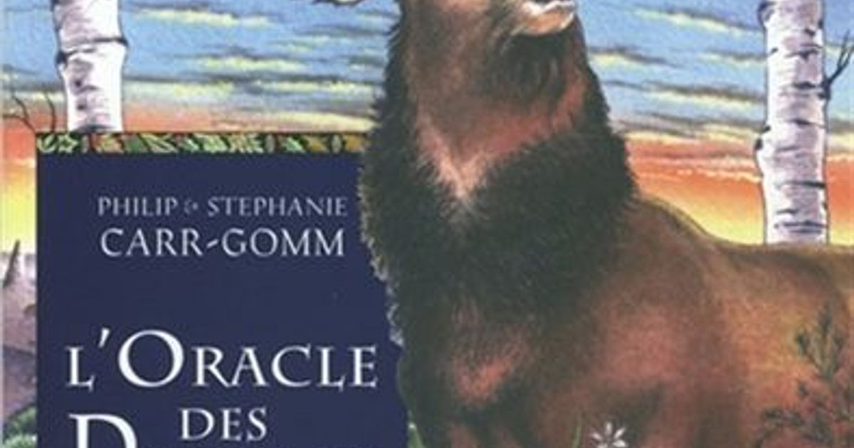 Oracle des druides De Philip Carr-Gomm | Stephanie Carr-Gomm