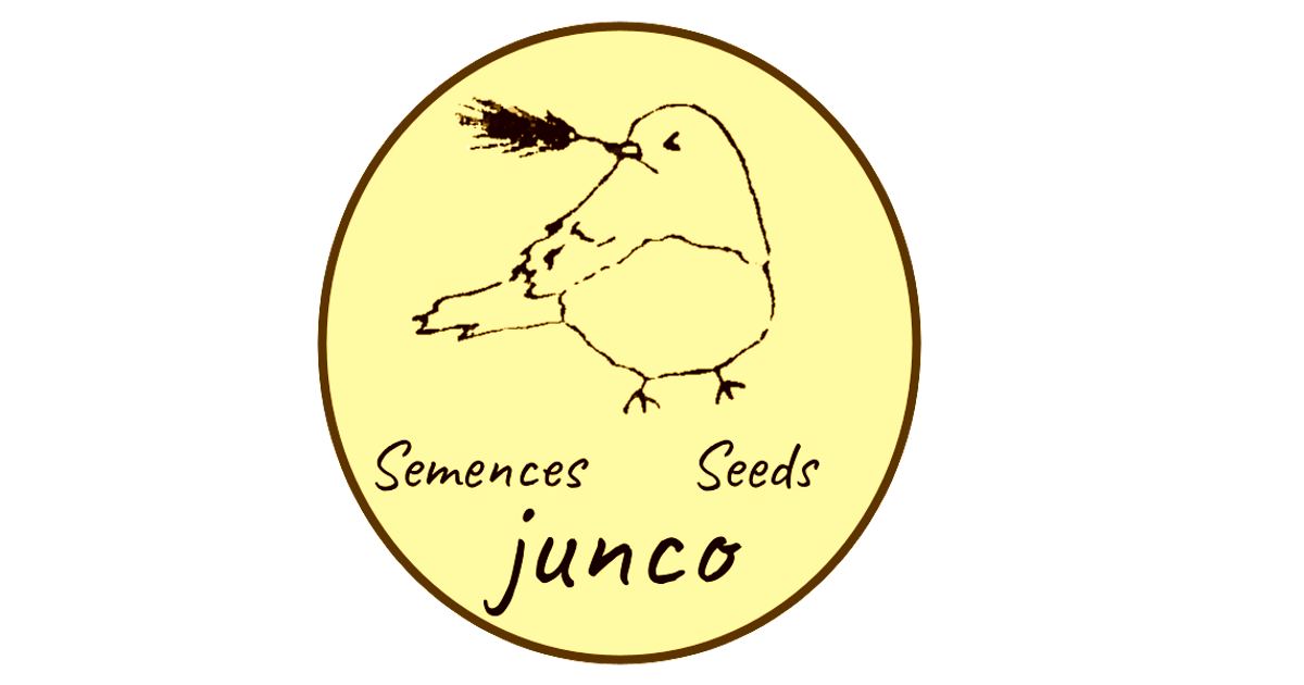 Junco Seeds