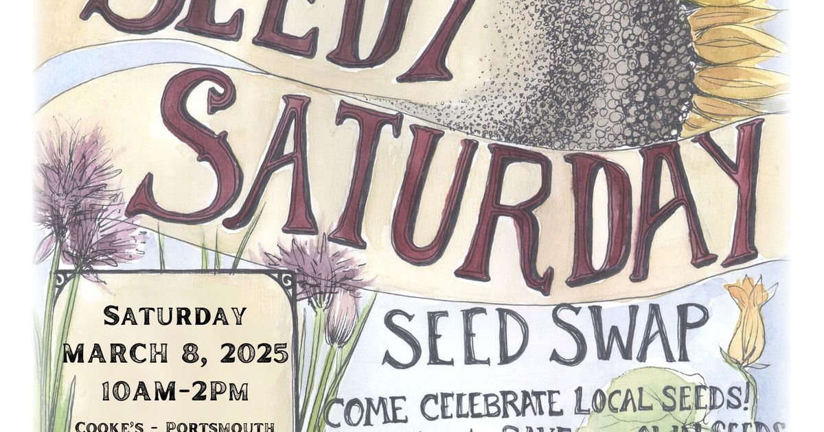 Seedy Saturday & Sunday 2025