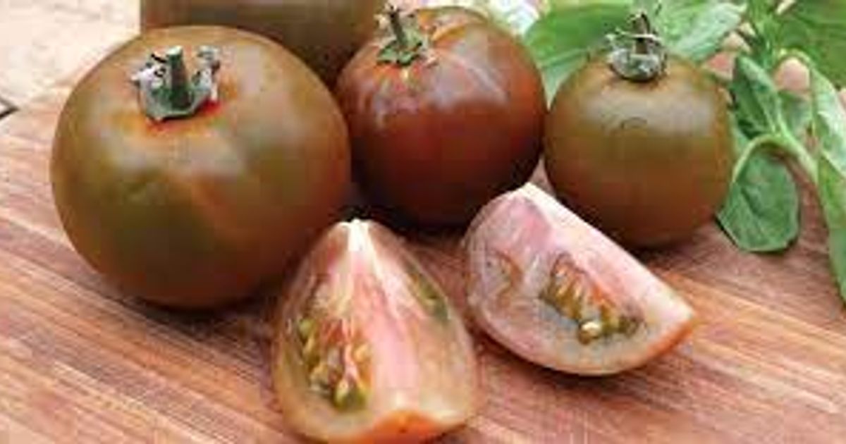 Black Russian Tomato