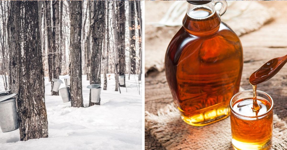 Sirop d'érable