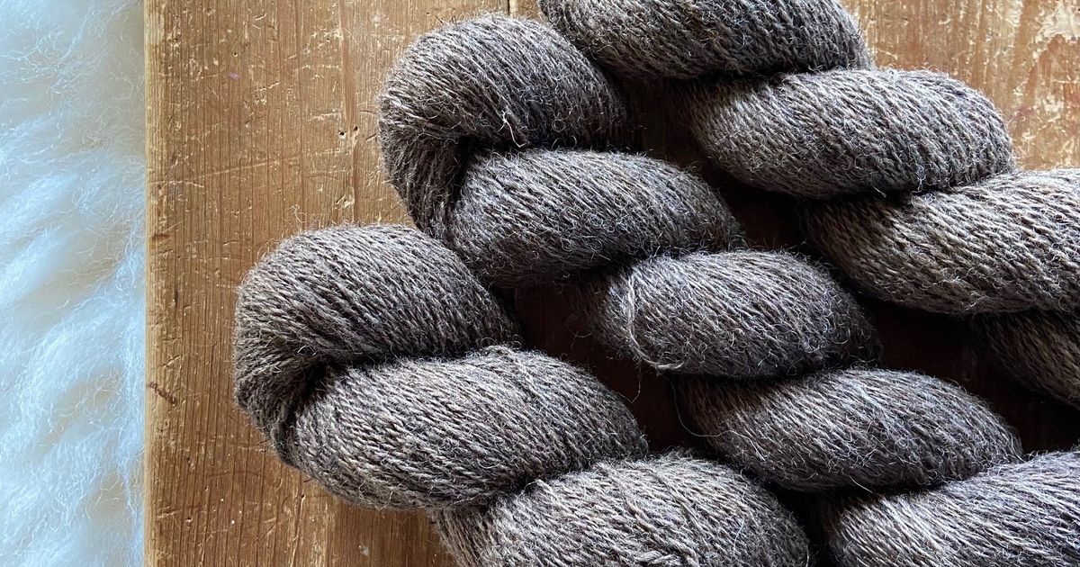 Frisonne des champs (90g) - CATECHU FERRUM